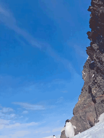 Pedo Protector! Tabs, Wed., Jan. 14, 2026