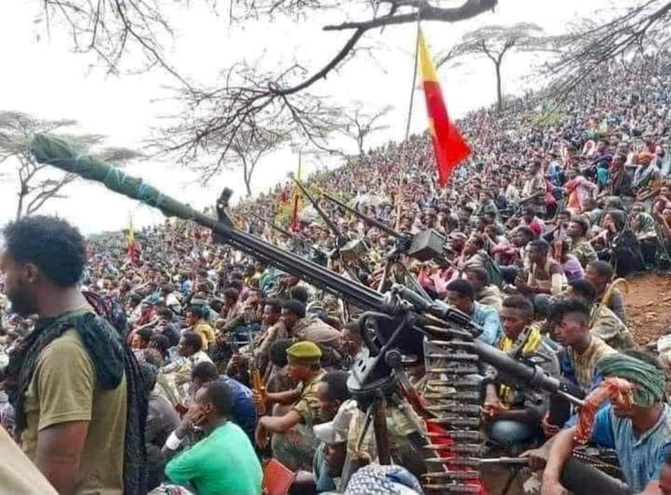 Tigray Authorities Denies Involvement in Afar Attacks
