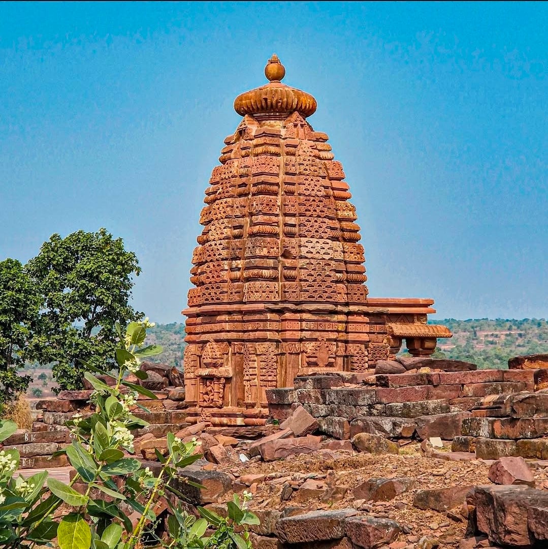 The Great Indian Polymath - by Sam Dalrymple