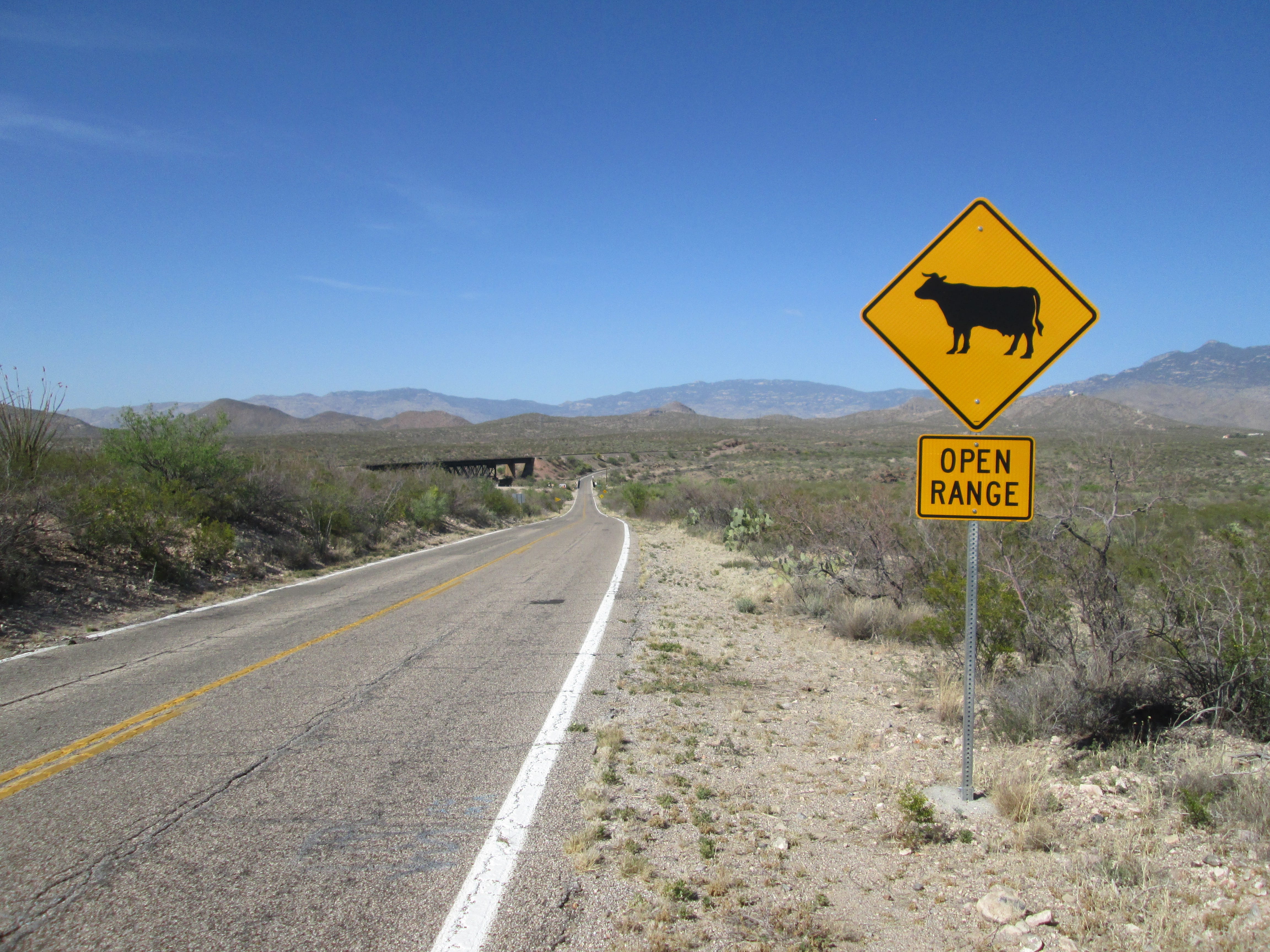 The Travesty of Public Lands Ranching