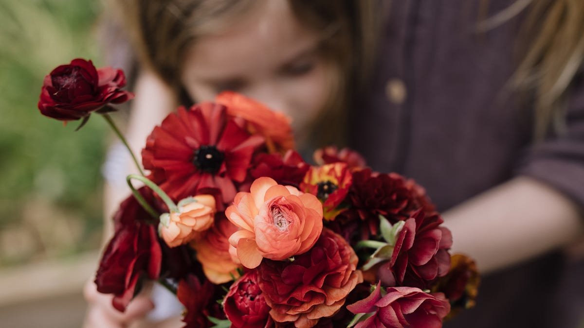 ranunculus watercolor tutorial