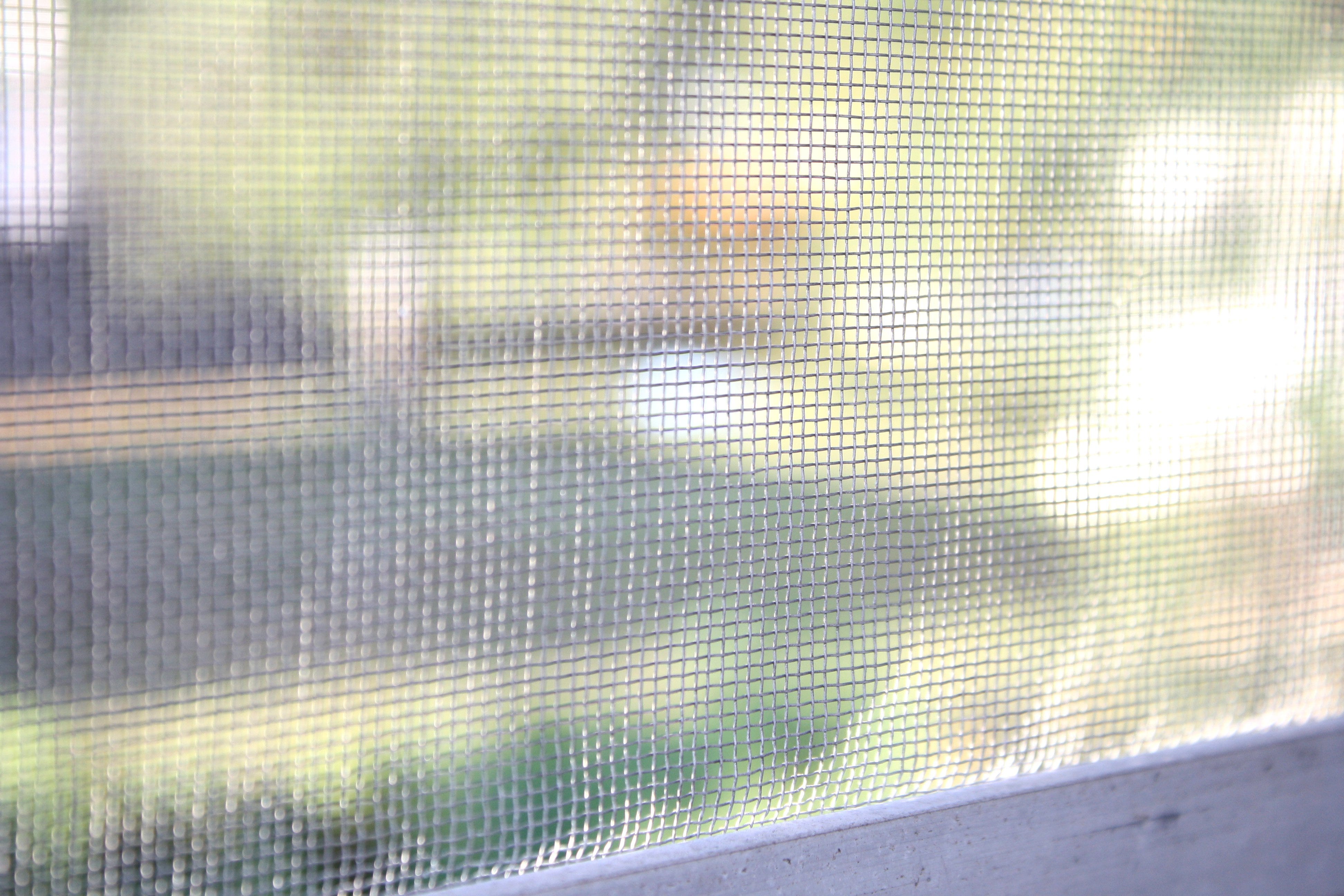 Through the Window (On the Theme of My Substack Blog)