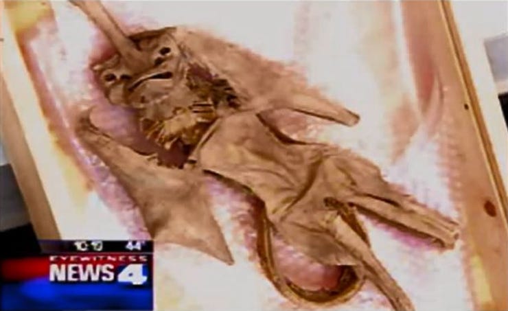 The Executed: Clones, Doubles, & Vril Lizard Reptilian Parasites