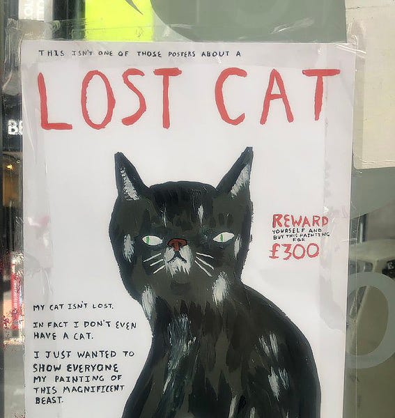 lost cat poster uk