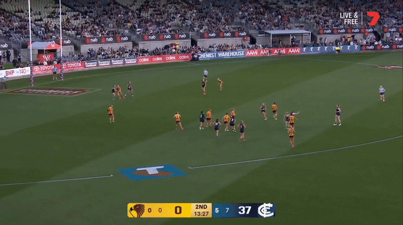 Limping to the line - by Julia Faragher - Hawks Insiders