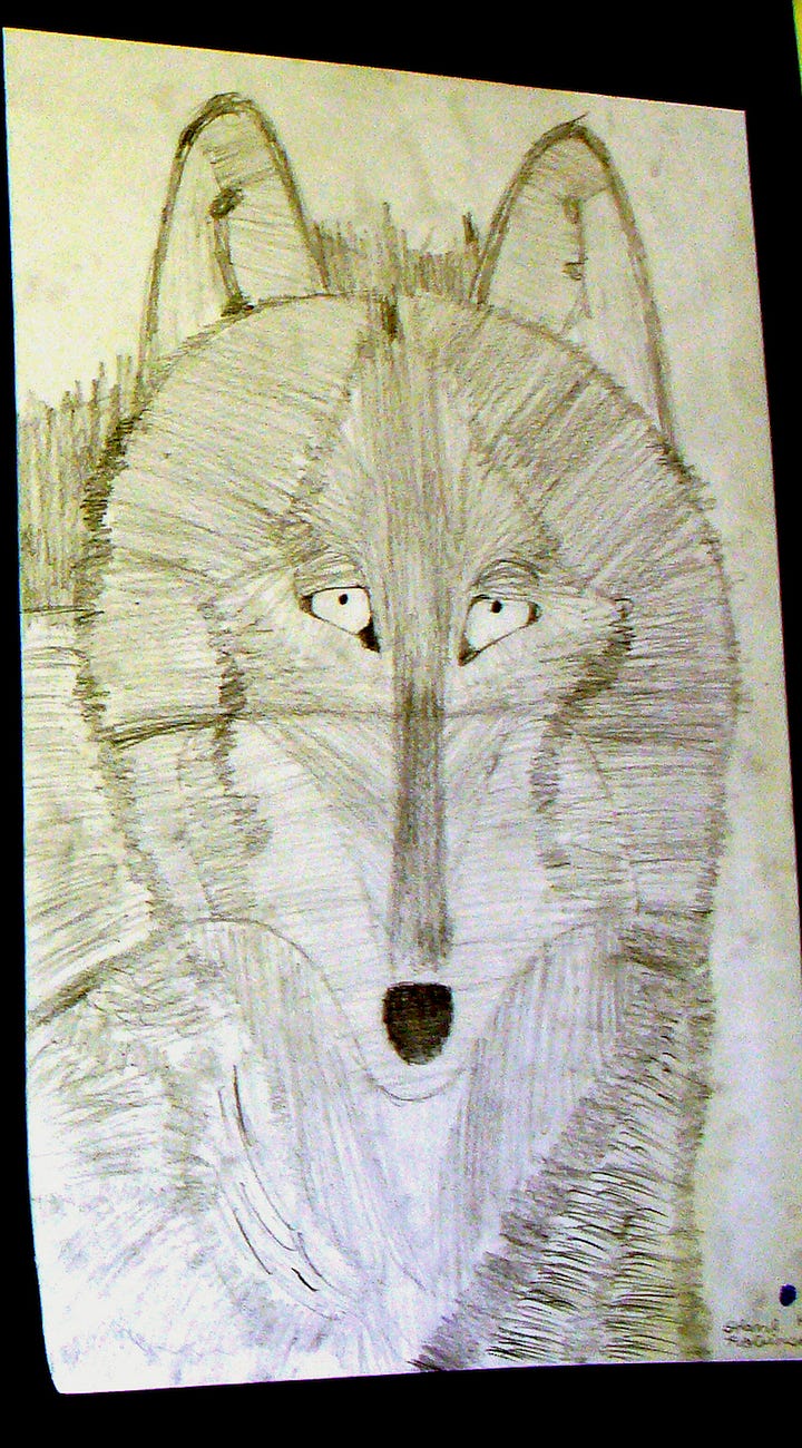 wolf art ks2