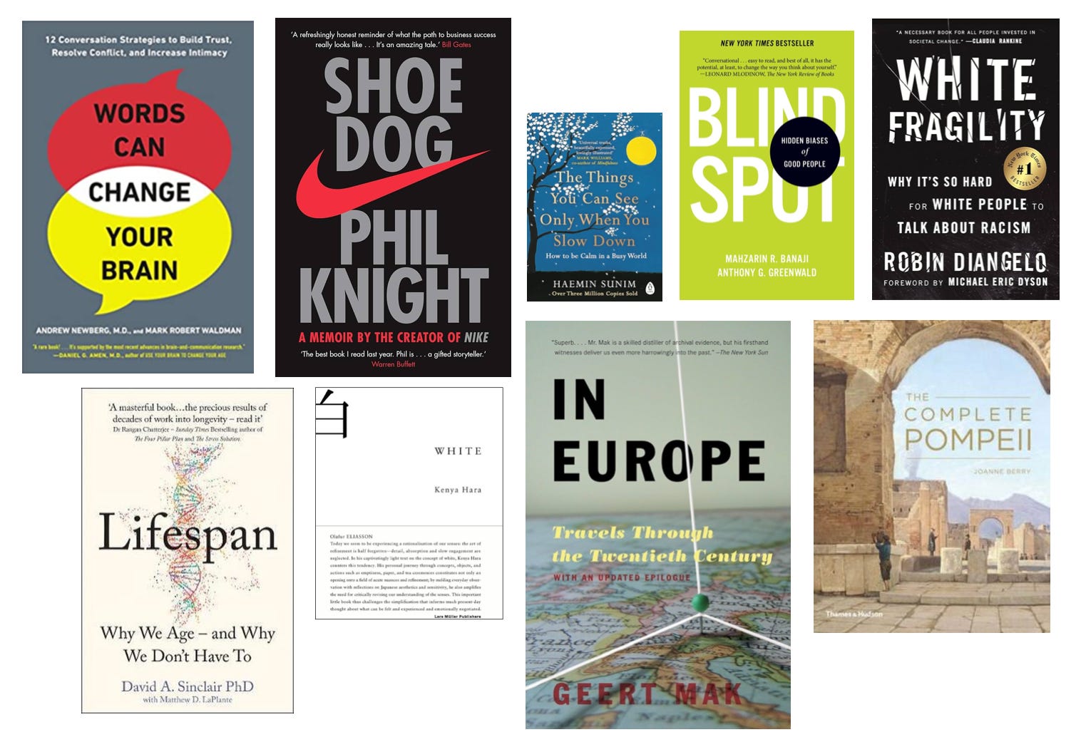Exploring the Dimensions of Curiosity - by Jeroen van Geel