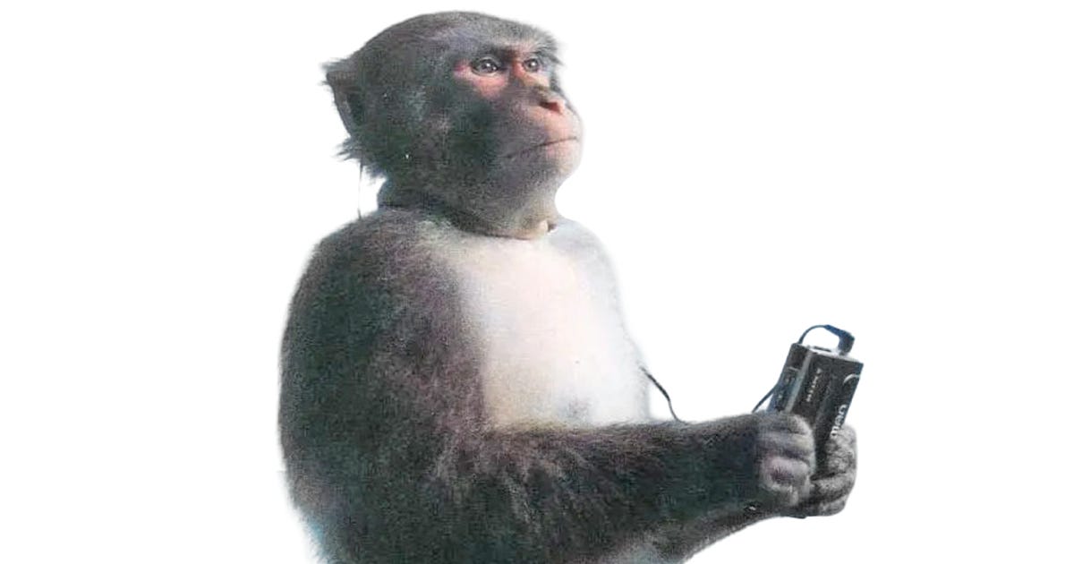 The Walkman Monkey - by ObsoleteSony