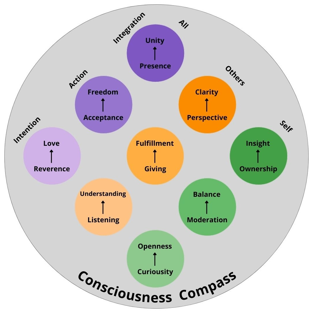 The Consciousness Compass - Nico Cost