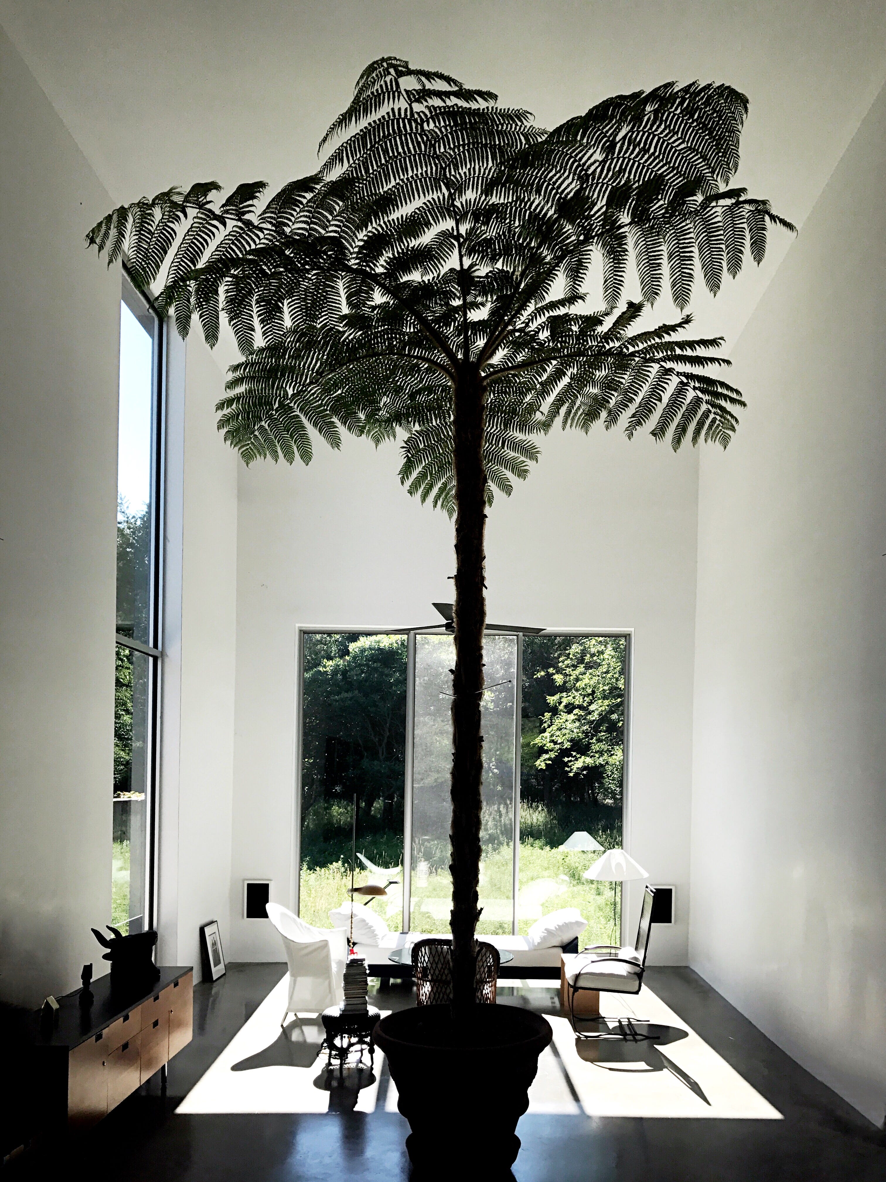 Against the Potted Plant - The Last Layer by Colin King