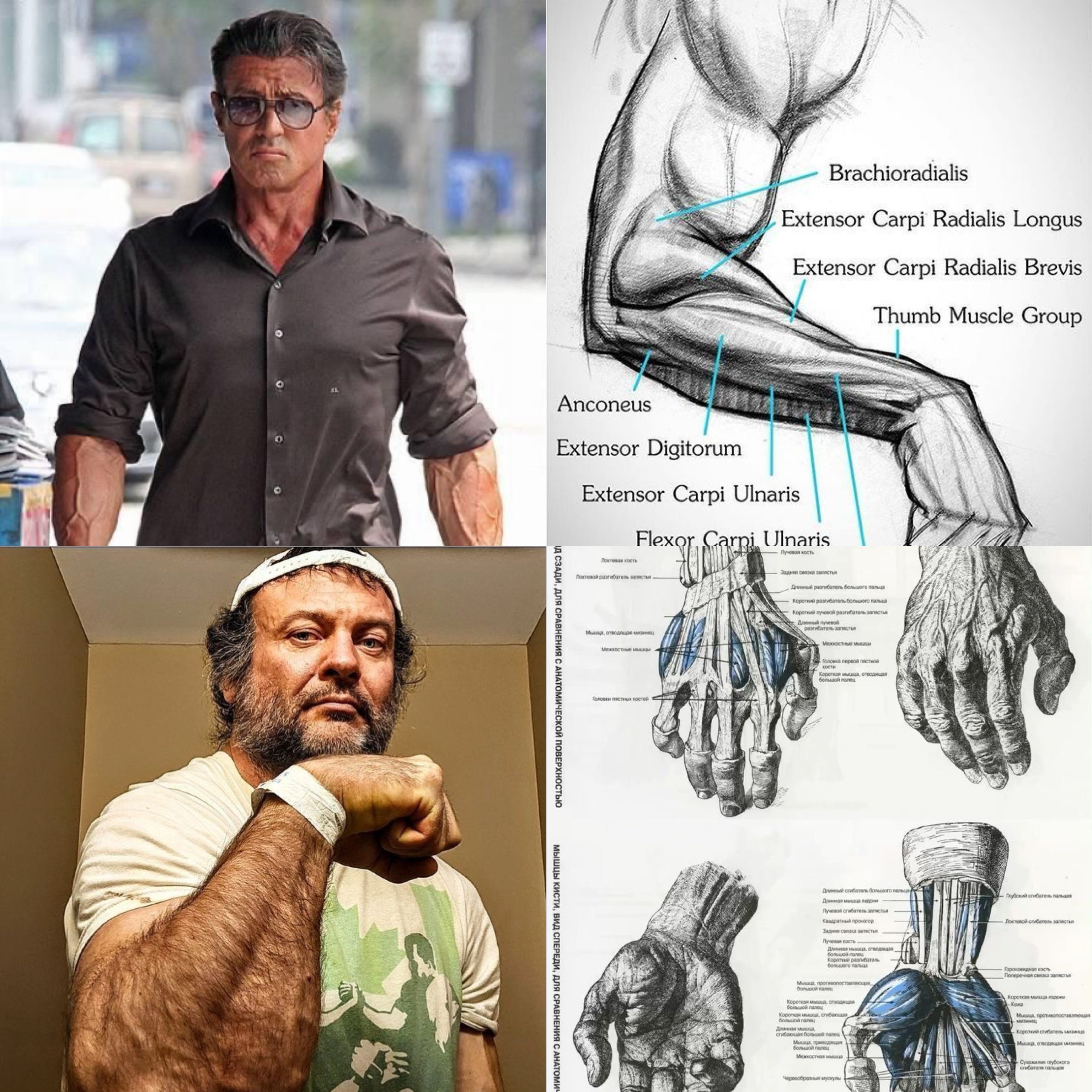 The Unspoken Language of Power: Why Your Grip and Forearms Dictate ...