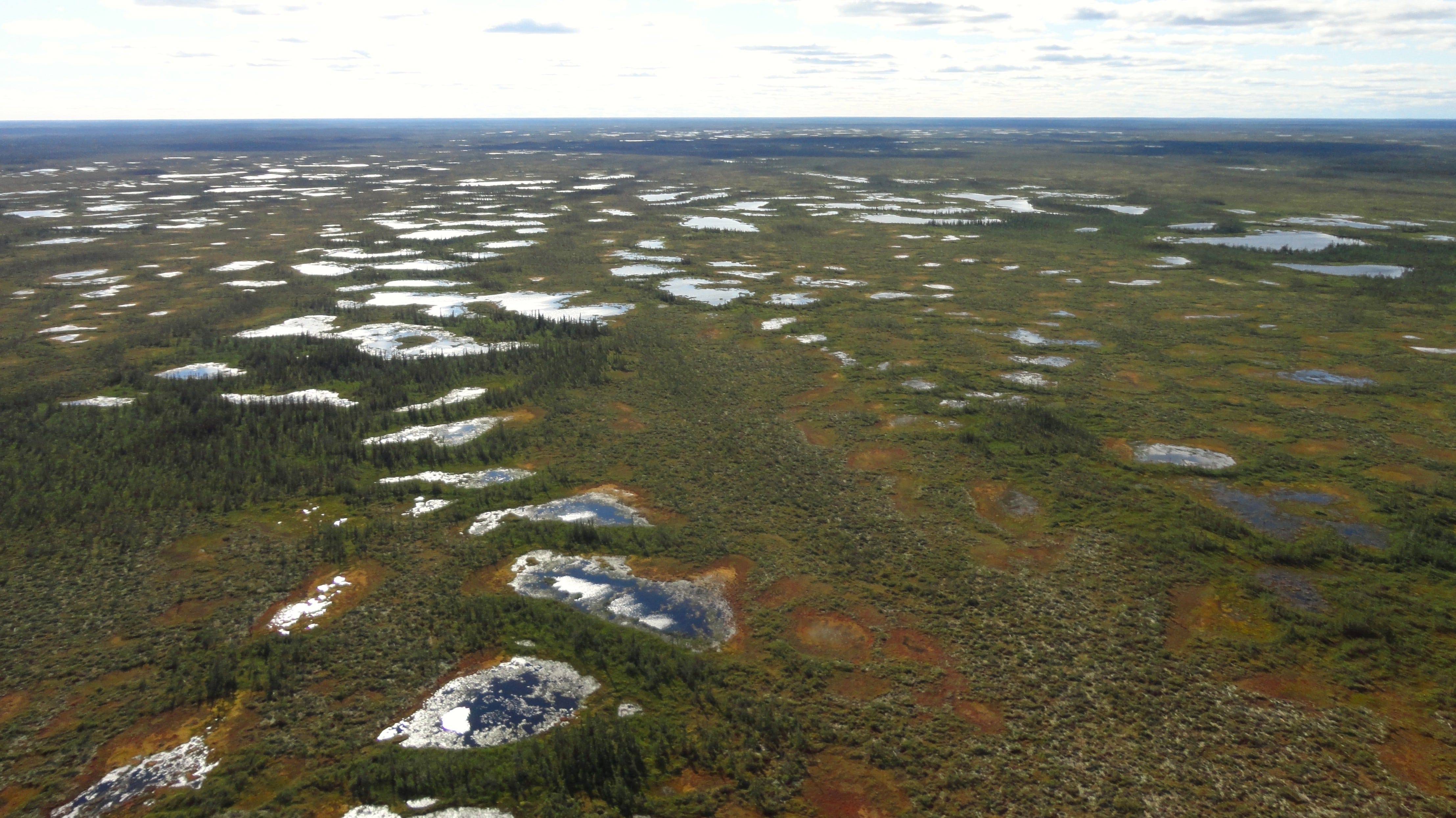 Muskeg and Mines - by Lorna I. Harris PhD - Peatpedia