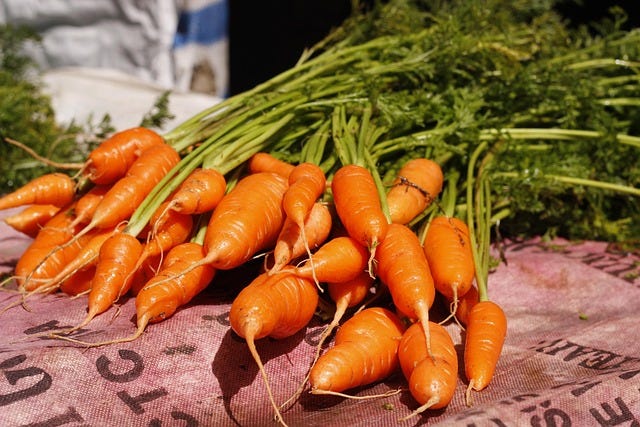 The orange carrot lie: How politics shaped a vegetable
