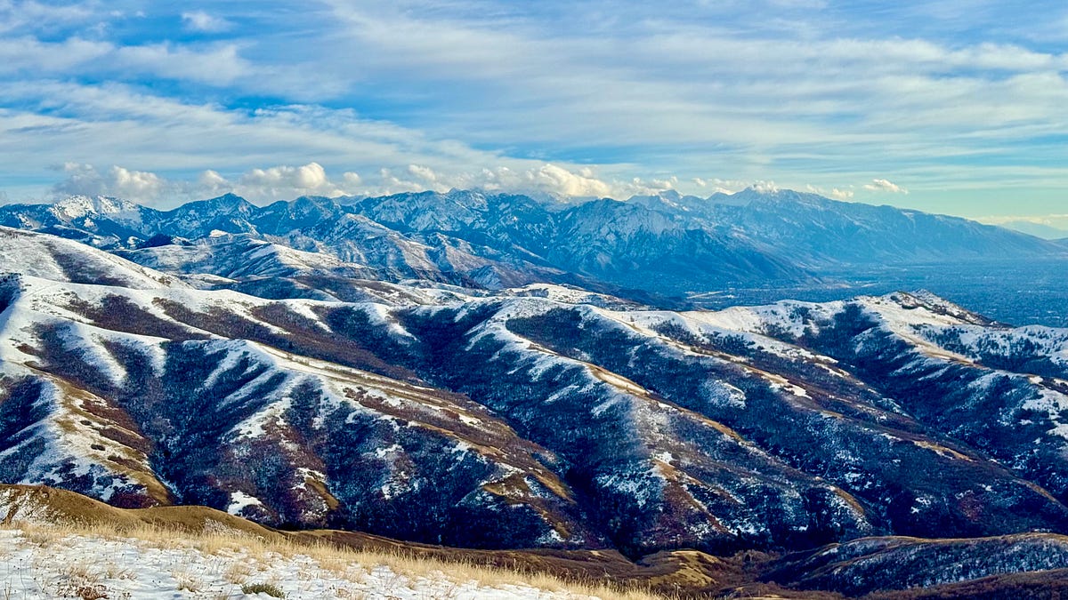 Comments - Wanting to Know - by Jay Nordlinger