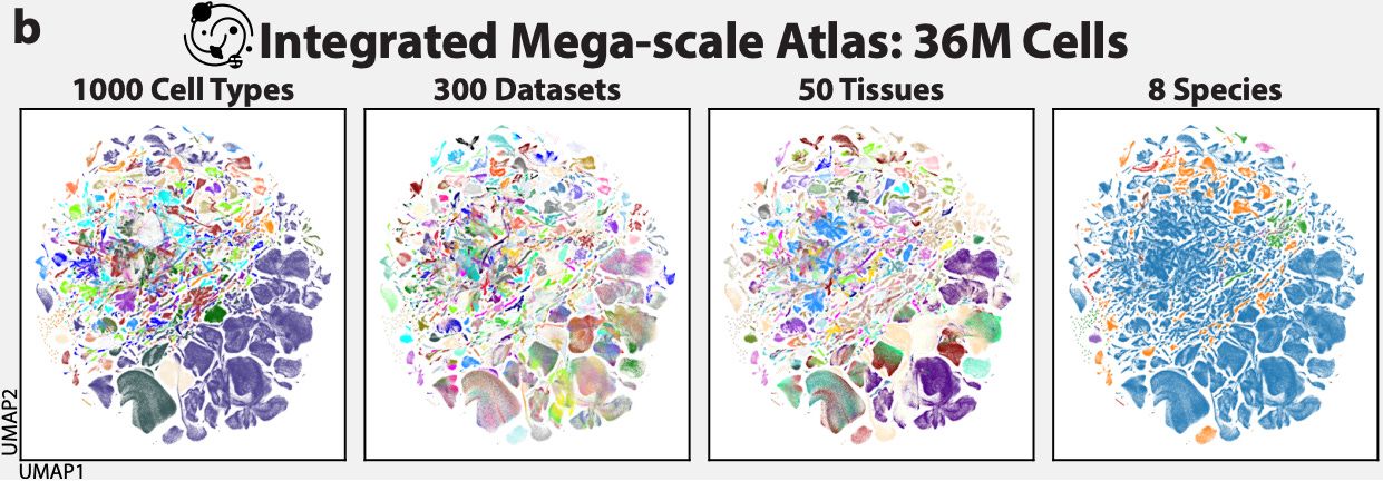 What Are Virtual Cells? - by Elliot Hershberg