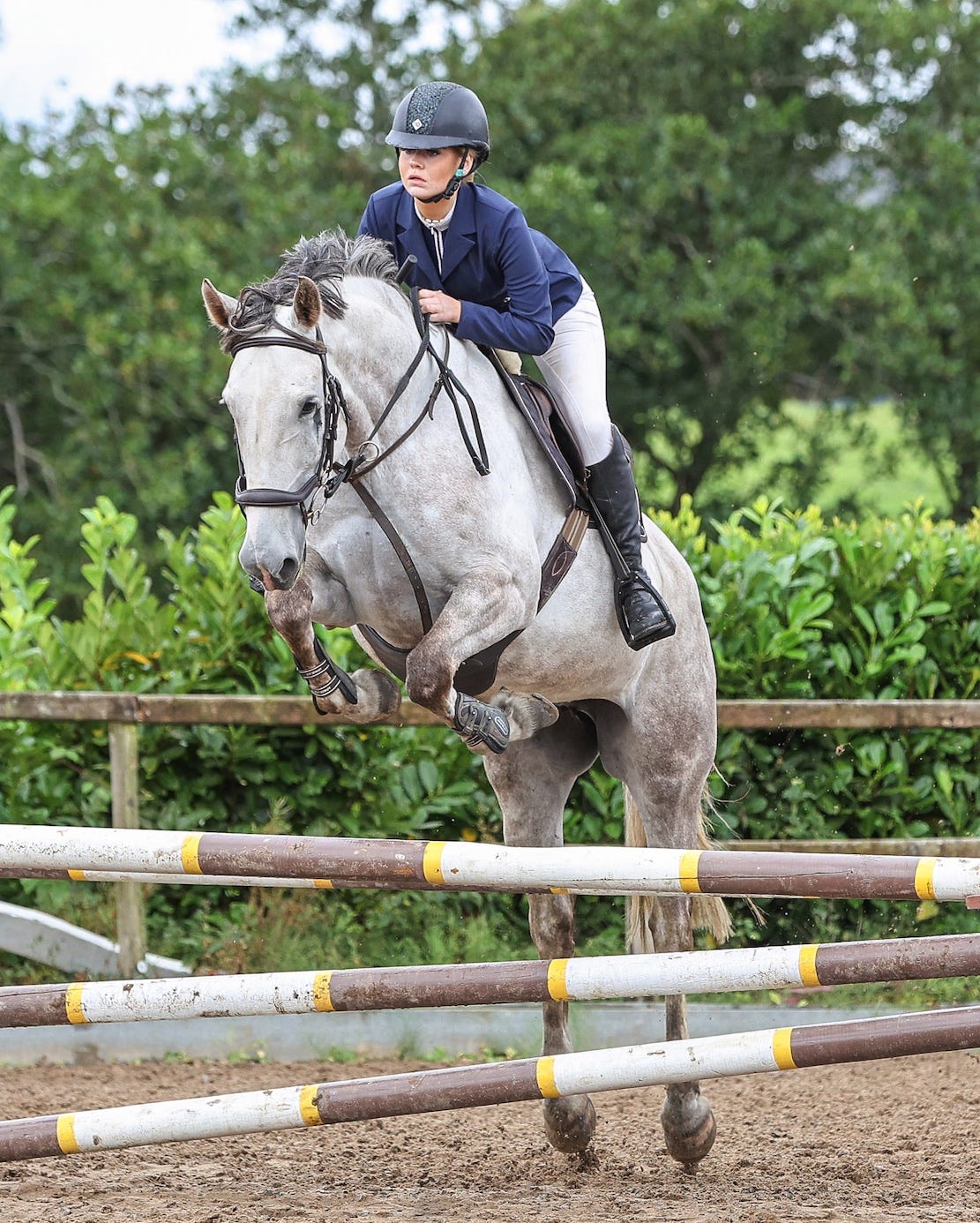 Another victory for Lucca and 'Glencarne' - Horse&Field