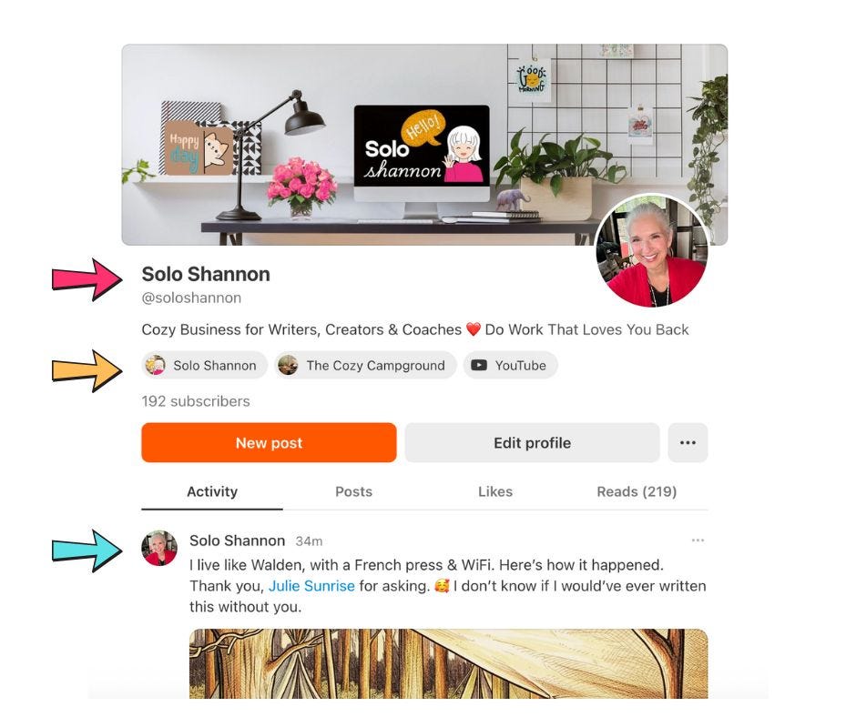 Understanding Substack - Solo Shannon