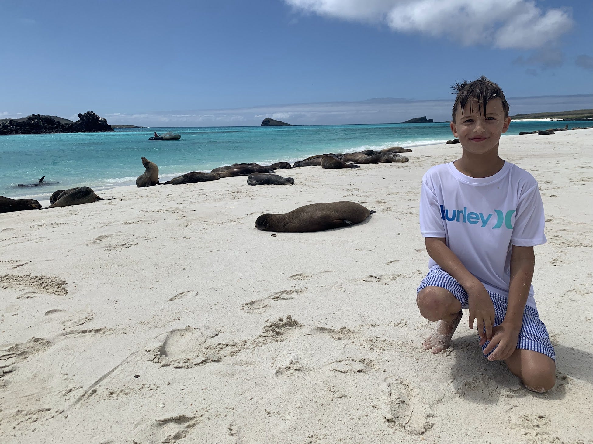 Letter to a Young Scientist - by Chris Pavese