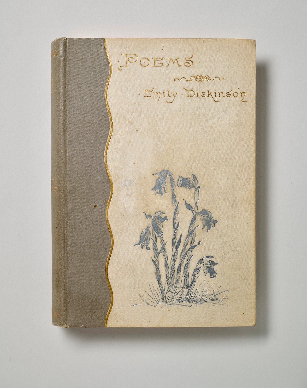 queer literature: the life and poetry of emily dickinson
