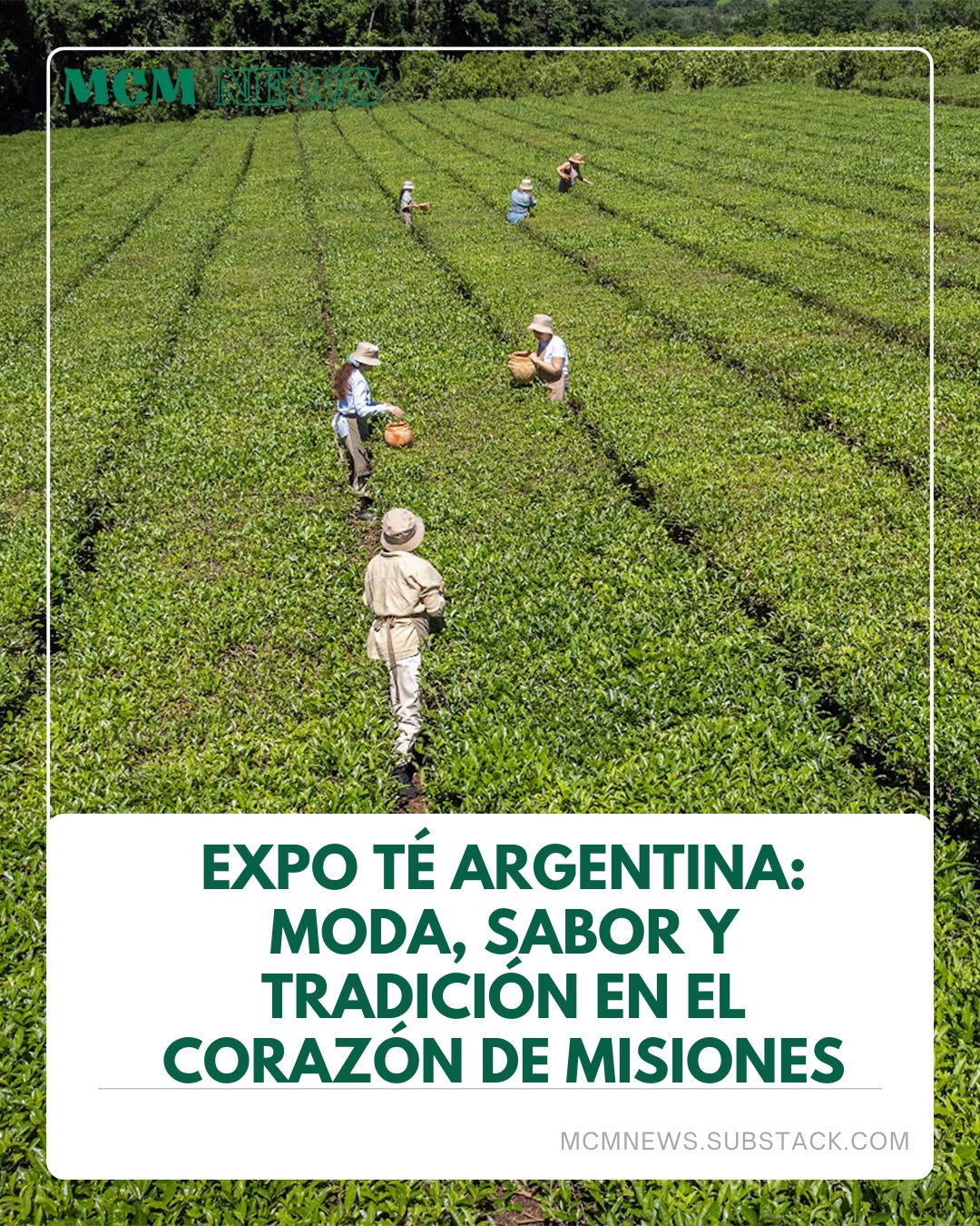 Expo Té Argentina: moda, sabor y tradición en el corazón de Misiones
