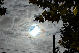 Liminal with Jennifer Steil | Substack