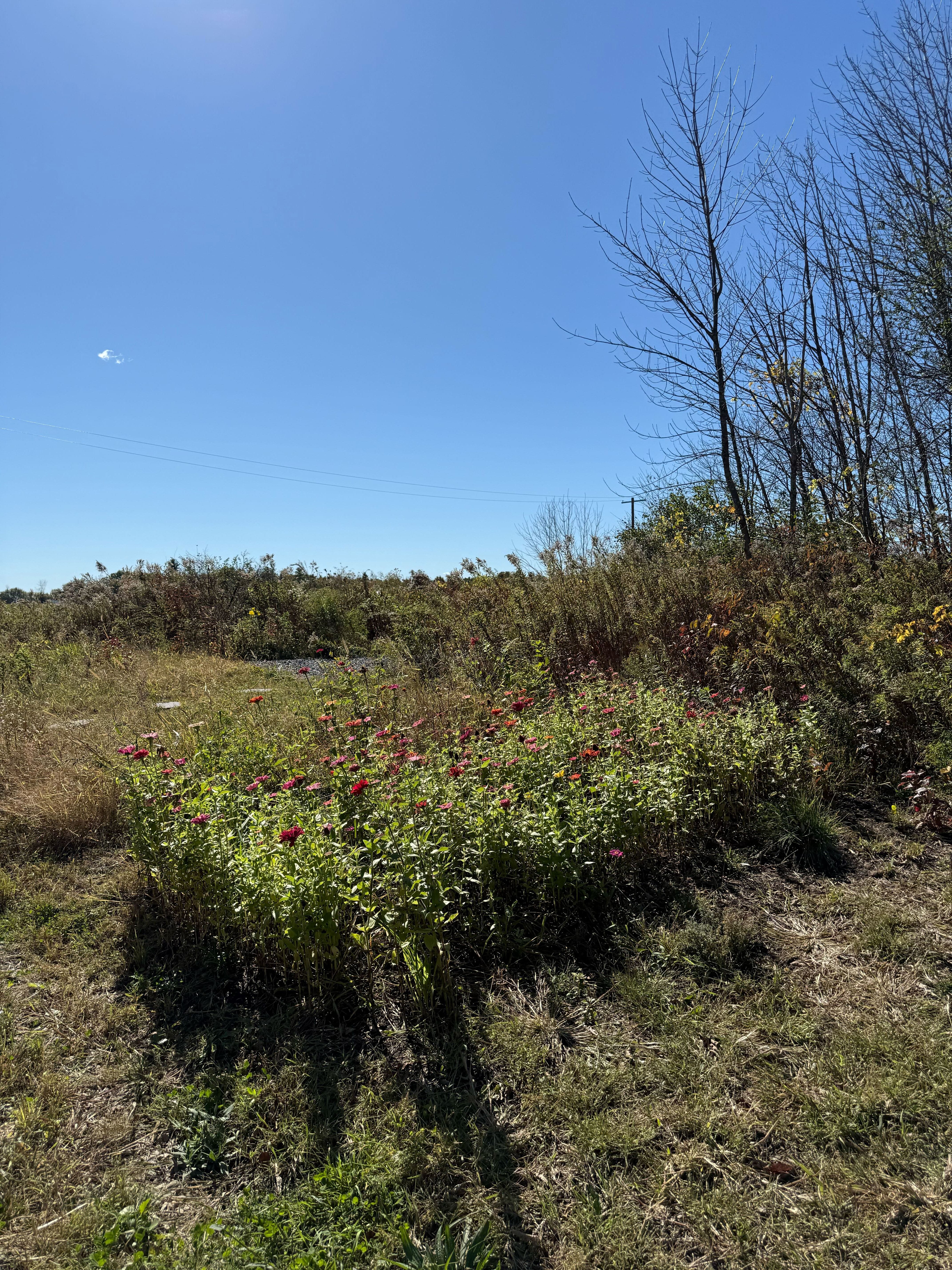 5 things I would do FIRST if you're planning to buy land in 2026