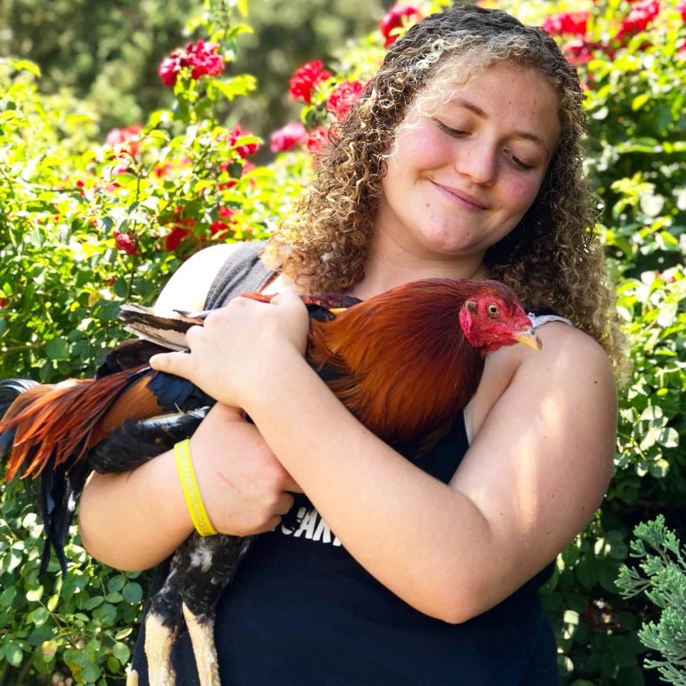 Why Christmas Is Hard for Vegans - The David Ramms Substack