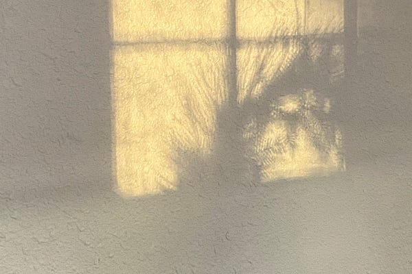 Kelsey Baldwin | Substack