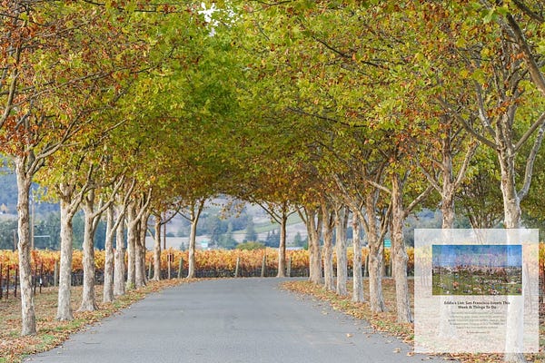 Eddie’s List: San Francisco Bay Area Events & Things To Do | Eddie Hernandez | Substack