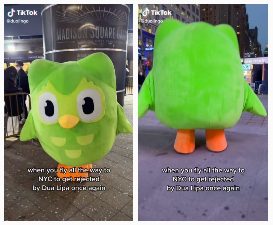 How Duolingo Grew Its TikTok to 6.6M Followers
