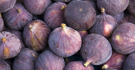 Talking Climate | Katharine Hayhoe | Substack