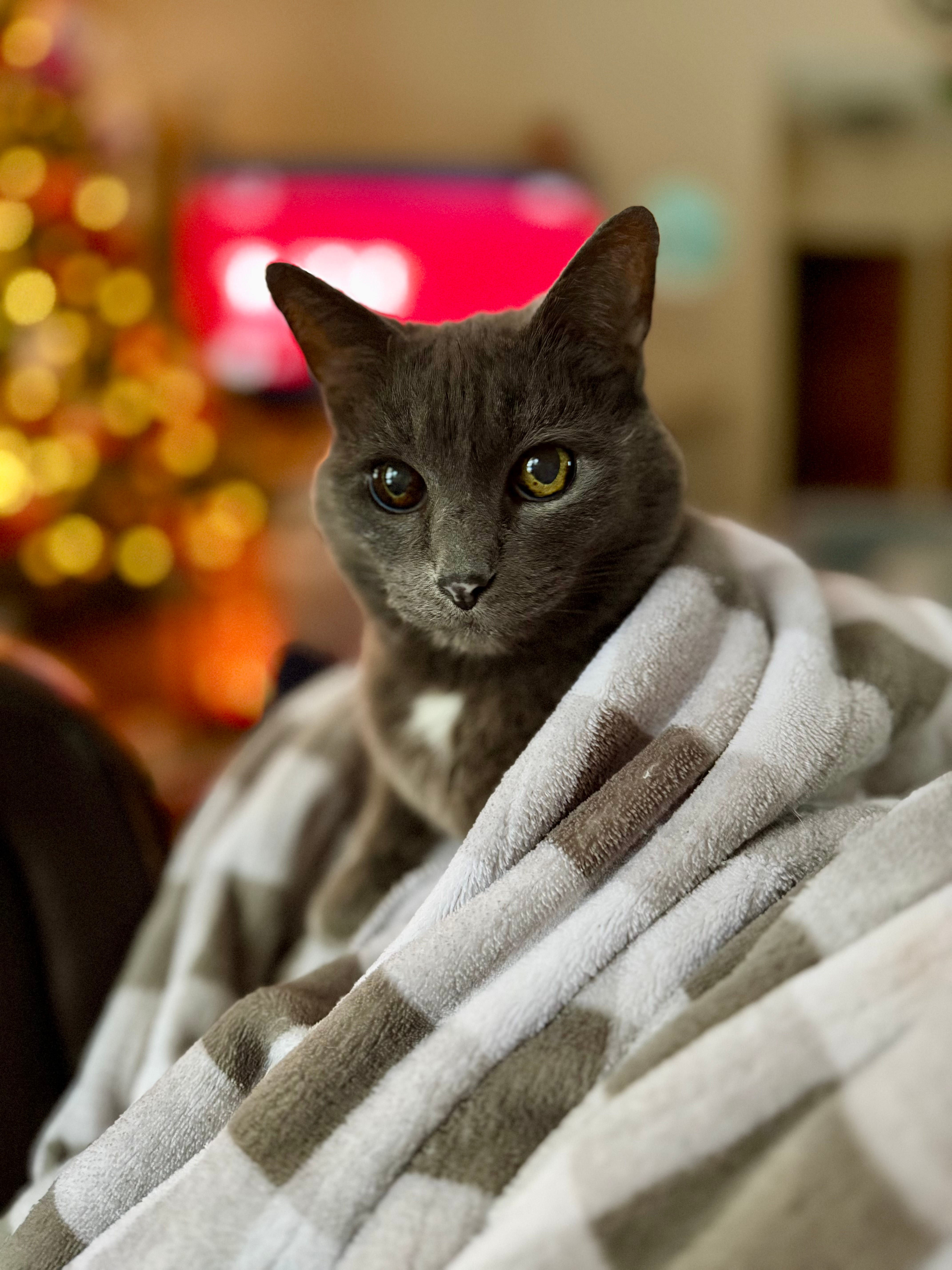 24 events, 600 gals and 2025 is (almost) a wrap!