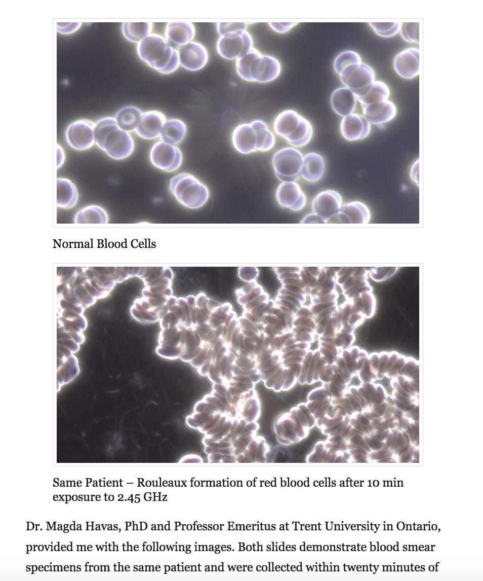 Did You Know That Wireless Radiation and Frequencies Cause Blood ...