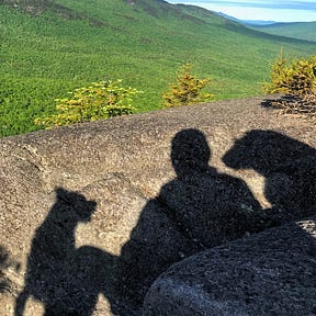 Tom Ryan, Author | Substack