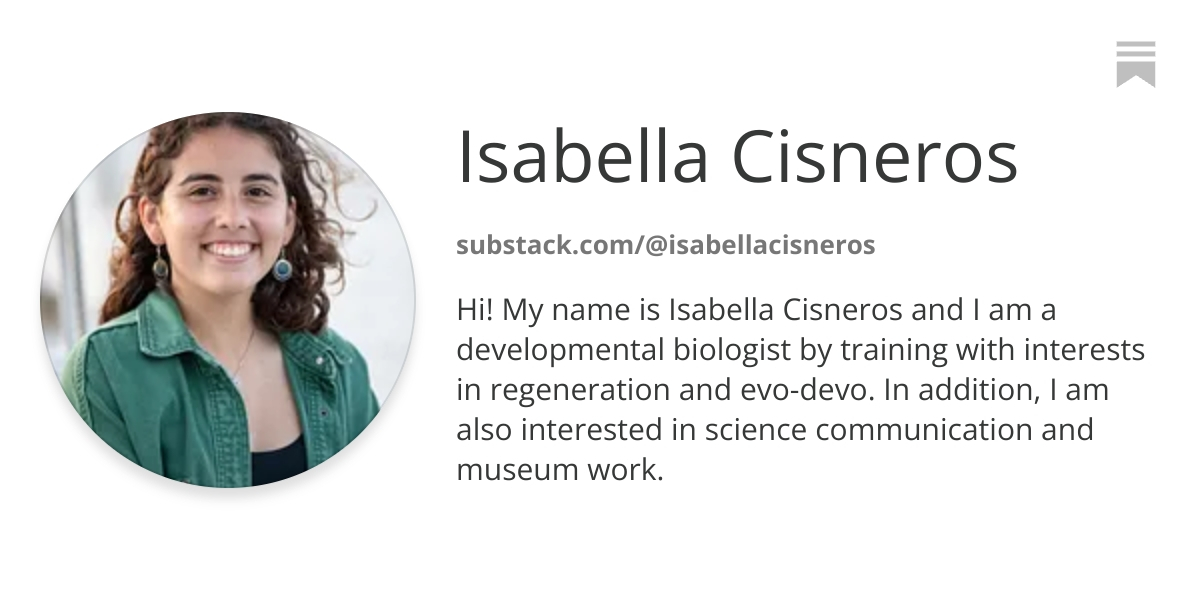 Isabella Cisneros | Substack