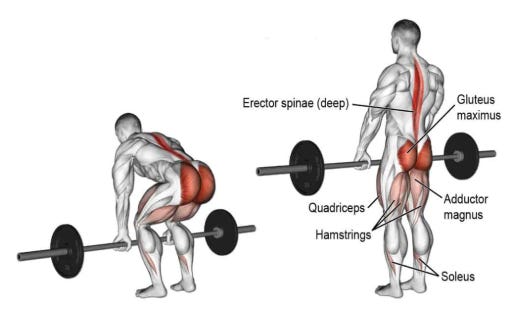 This Might Save Your Life: The Complete System to Reverse Sitting ...