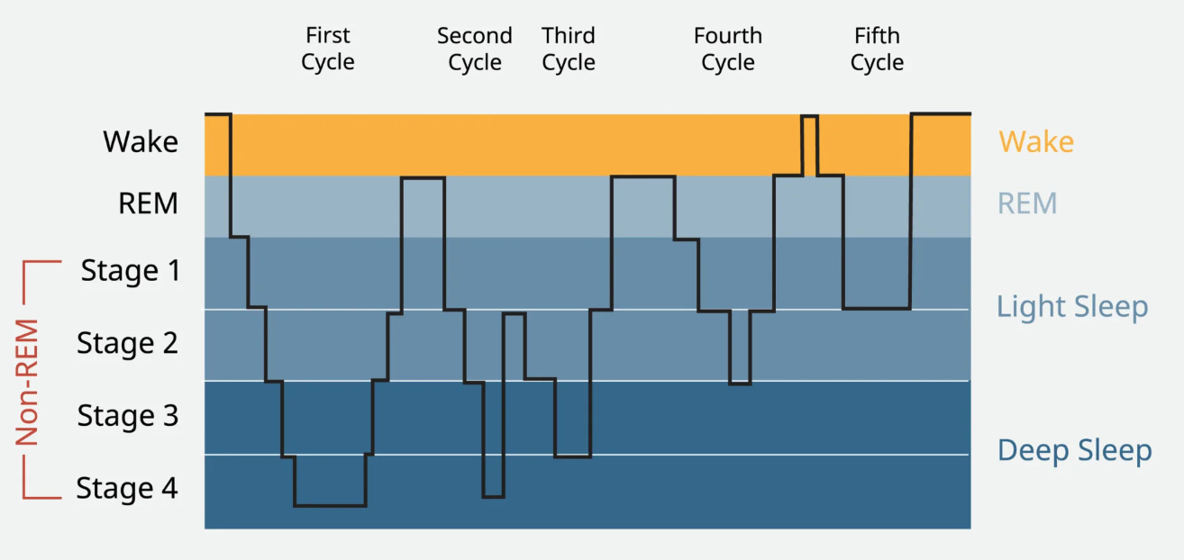Why Deep Sleep and REM Matter More Than You Think