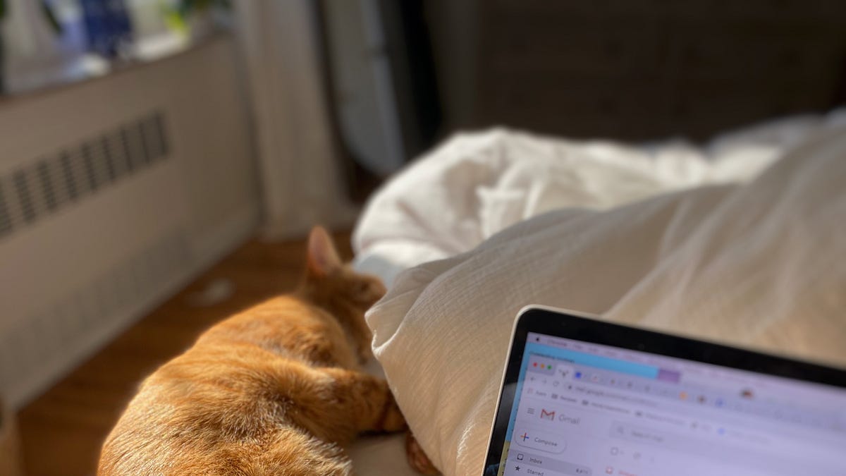 Writing Lessons - Throughline by Jill Filipovic