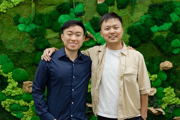 Z Potentials | Substack