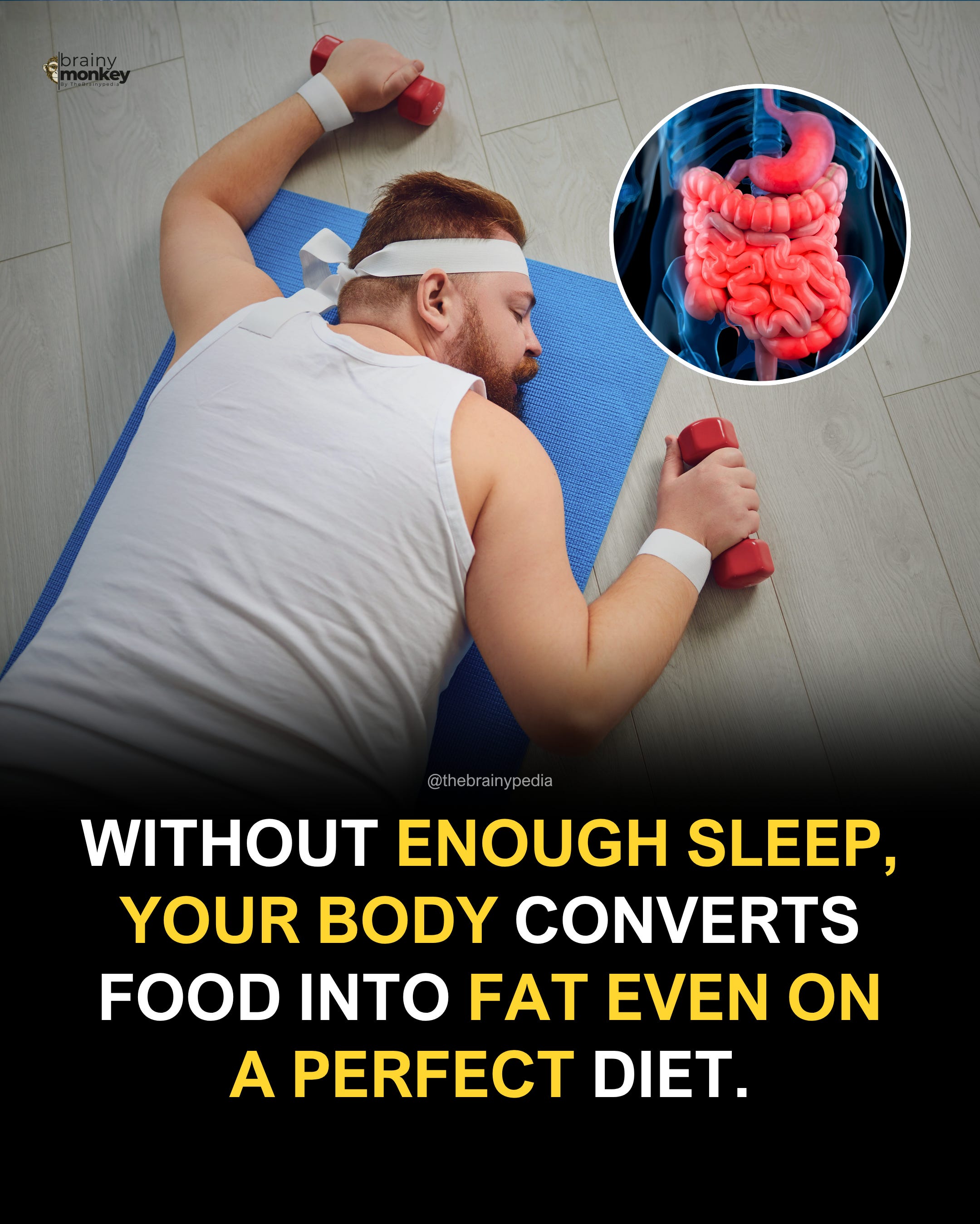 The Brainypedia (@thebrainypedia): "Sleep deprivation can disrupt your ...