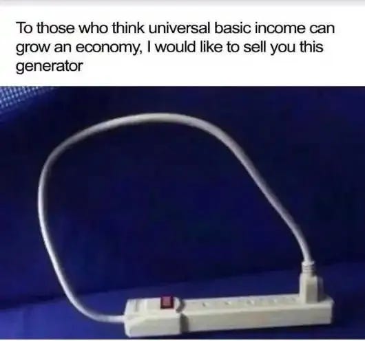 Ann Barnhardt Memes - Edwin’s Newsletter #1