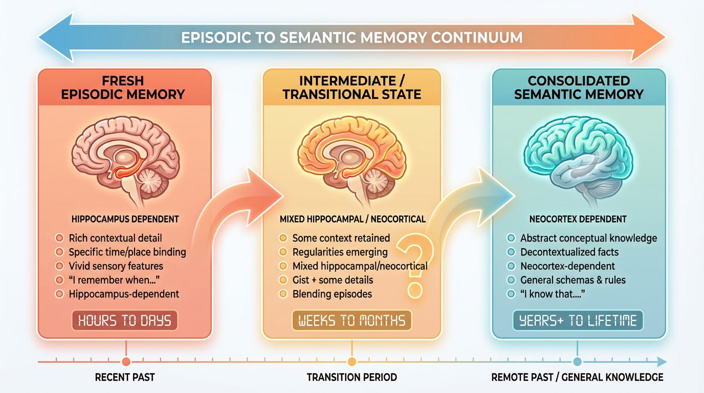 semantic memory schemas