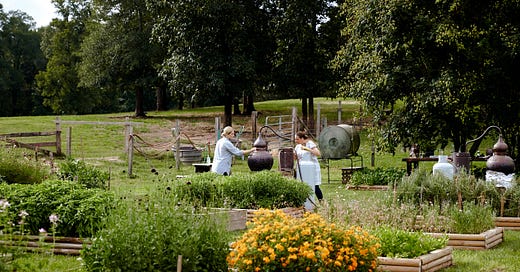 Stone Hollow Farmstead | Substack