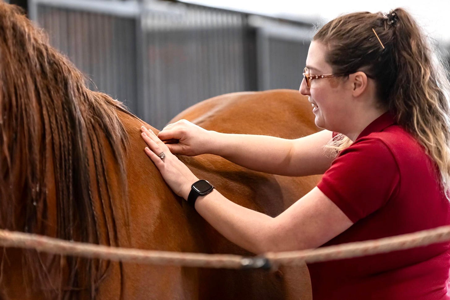 Rib Mobilization in Horses: Unlocking the Ribcage for Better Movement ...