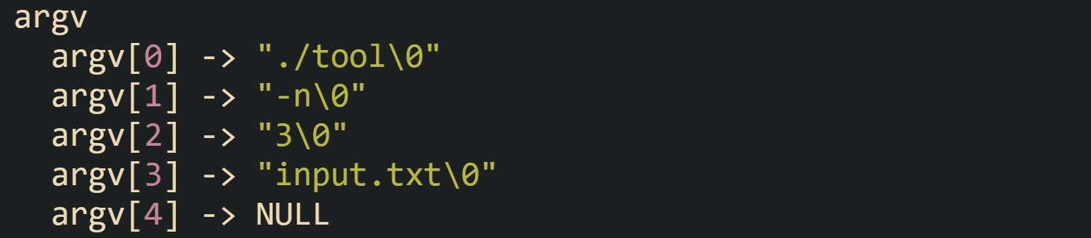 Command Line Arguments and main in C