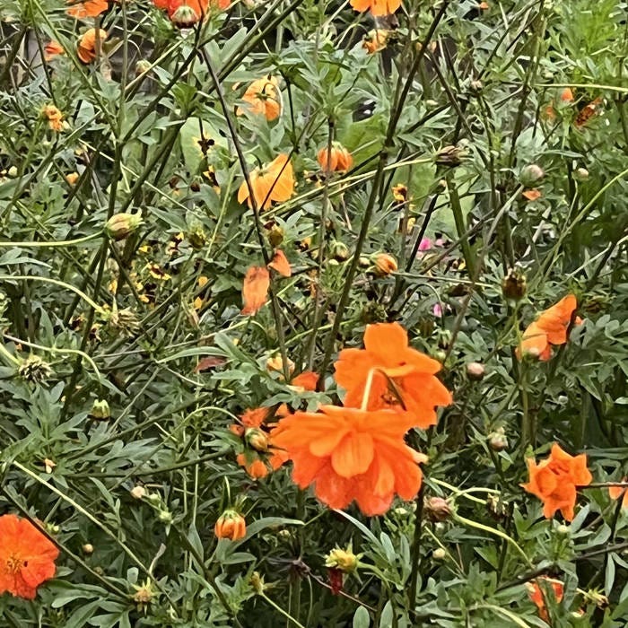 The River That Flows Both Ways - Tony Fletcher, Wordsmith