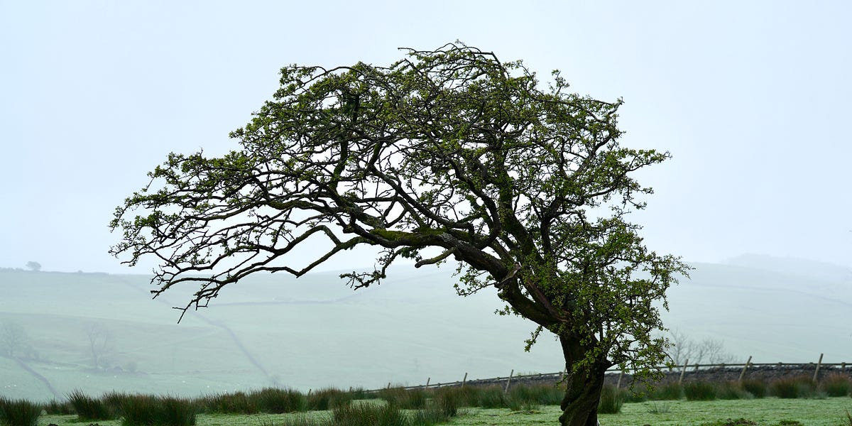 The hag stone and the hawthorn tree