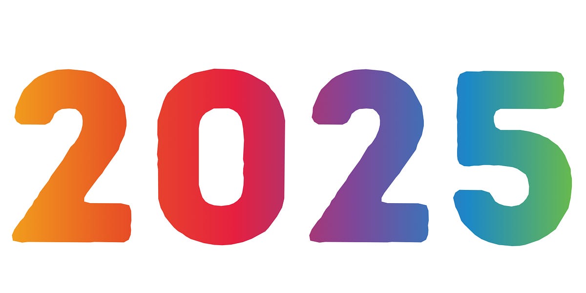 2025: The Year I got SWAT-ted by a Nonprofit and My PTSD Came Back