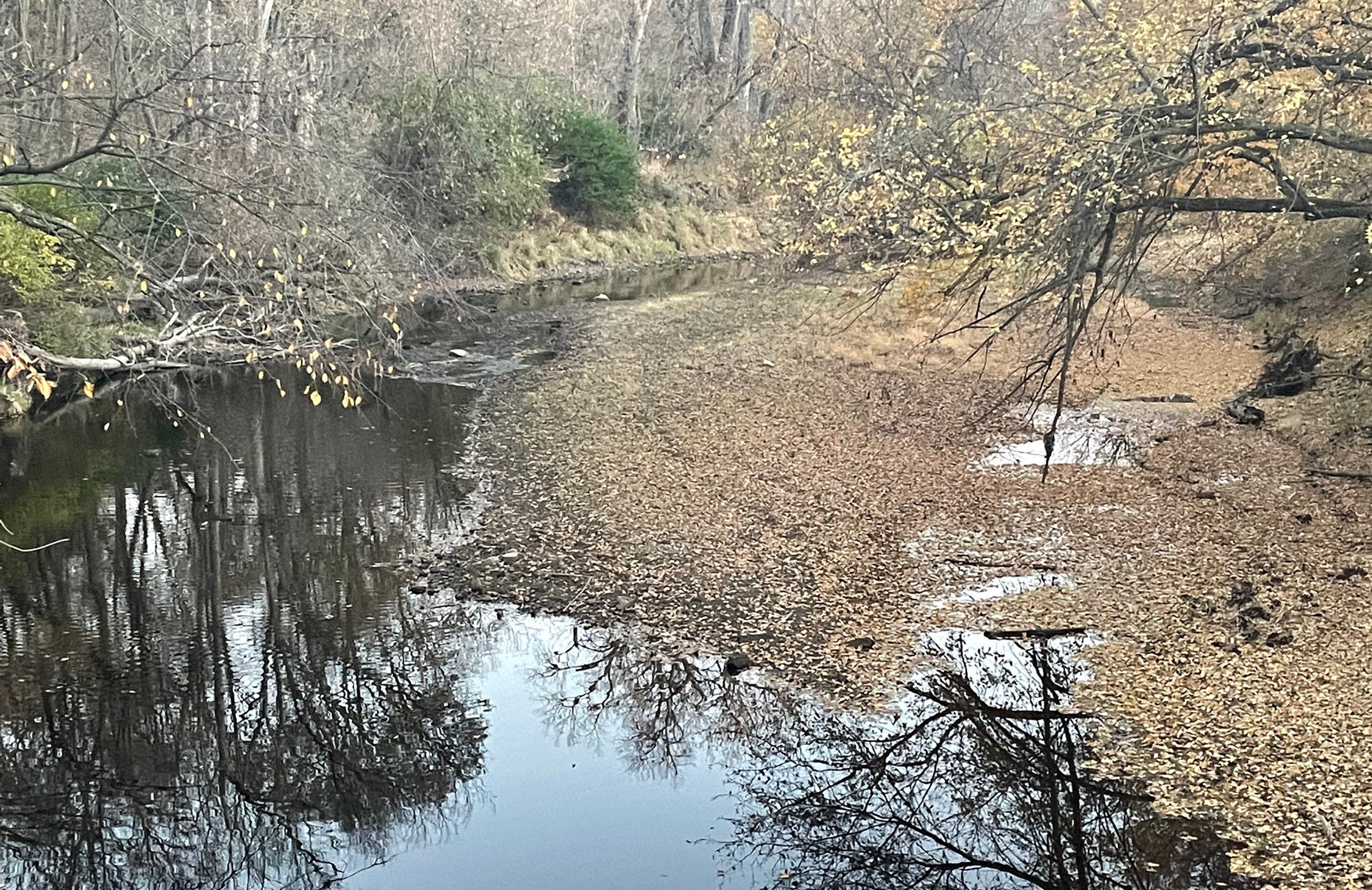 Ralph Rosenberg Substack by Ralph Rosenberg | Insights from Sidestack ...