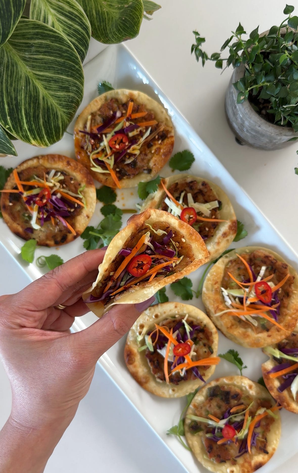 Crispy Smash Dumplings - by Maxine Sharf - Maxi's Kitchen